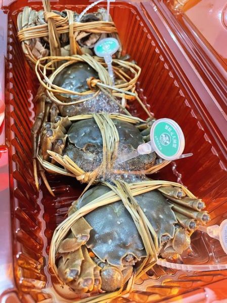上海大闸蟹多少钱一斤_正宗阳澄湖价格行情-第2张图片-山城妙识 上海大闸蟹多少钱一斤_正宗阳澄湖价格行情-第2张图片-山城妙识
