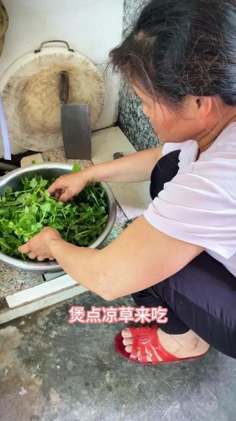 凉粉草的功效与作用_凉粉草怎么吃最好-第1张图片-山城妙识 凉粉草的功效与作用_凉粉草怎么吃最好-第1张图片-山城妙识