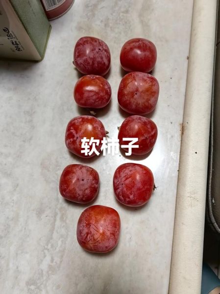 自制柿子醋的正确方法_柿子醋发酵多久能喝-第2张图片-山城妙识