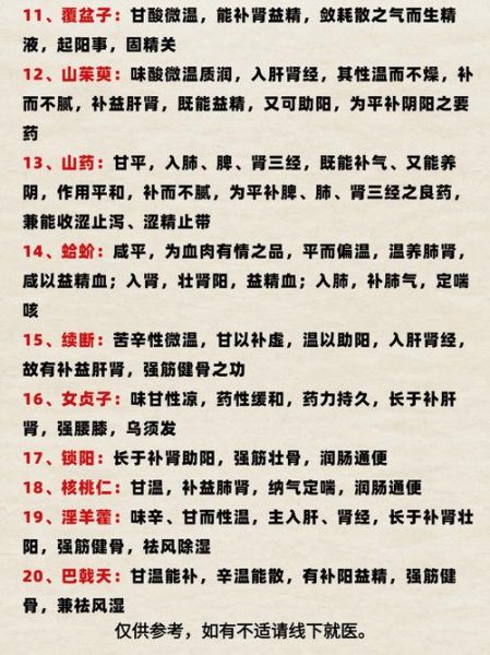 补肾填精吃什么好_益肾固涩的中药有哪些-第1张图片-山城妙识 补肾填精吃什么好_益肾固涩的中药有哪些-第1张图片-山城妙识