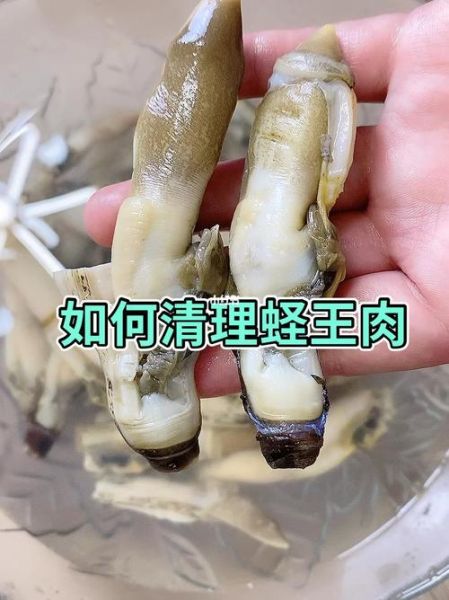 蛏子怎么去内脏_蛏子内脏清理视频教程-第3张图片-山城妙识 蛏子怎么去内脏_蛏子内脏清理视频教程-第3张图片-山城妙识