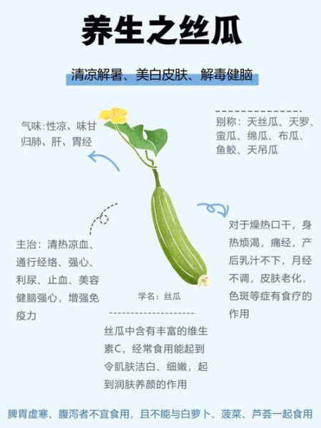丝瓜有什么功效_丝瓜能减肥吗-第1张图片-山城妙识 丝瓜有什么功效_丝瓜能减肥吗-第1张图片-山城妙识