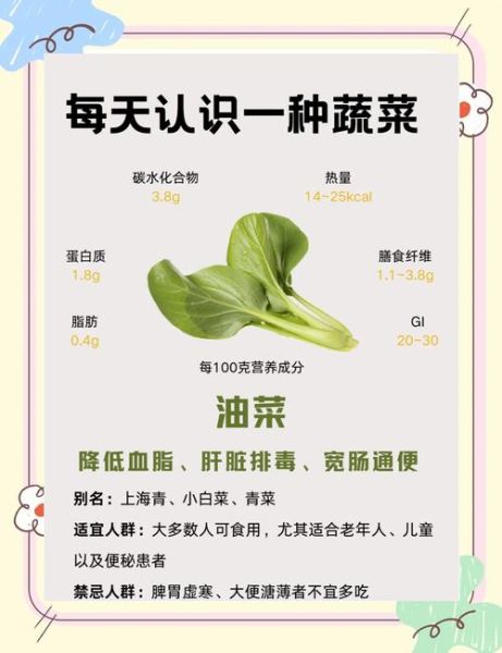 常见蔬菜名称大全_哪些蔬菜适合家庭种植-第2张图片-山城妙识 常见蔬菜名称大全_哪些蔬菜适合家庭种植-第2张图片-山城妙识