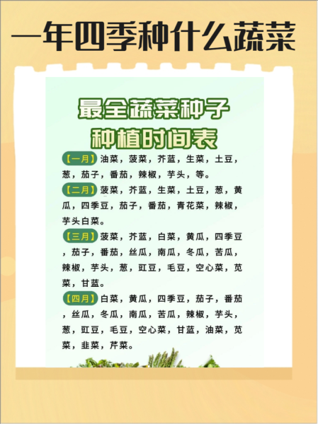 常见蔬菜名称大全_哪些蔬菜适合家庭种植-第1张图片-山城妙识 常见蔬菜名称大全_哪些蔬菜适合家庭种植-第1张图片-山城妙识