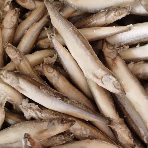 多宝鱼怎么杀_多宝鱼怎么处理干净-第3张图片-山城妙识