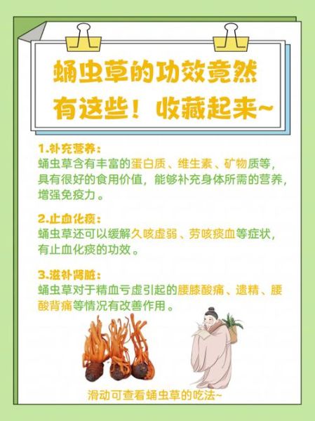 蛹虫草的功效与作用禁忌_哪些人不能吃-第2张图片-山城妙识 蛹虫草的功效与作用禁忌_哪些人不能吃-第2张图片-山城妙识