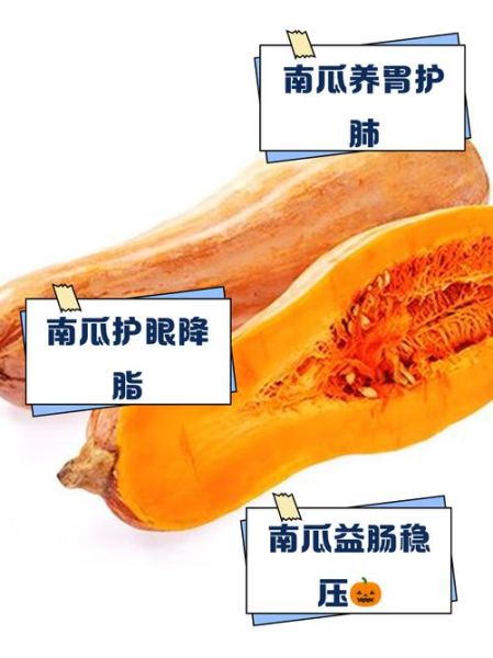 南瓜的功效与作用_南瓜的禁忌人群有哪些-第2张图片-山城妙识