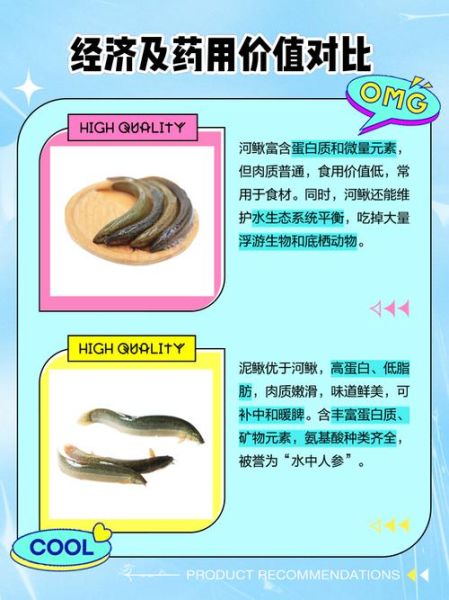 吃泥鳅的害处_泥鳅吃多了有什么坏处-第1张图片-山城妙识 吃泥鳅的害处_泥鳅吃多了有什么坏处-第1张图片-山城妙识