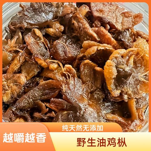 油鸡枞多少钱一斤_油鸡枞怎么保存-第3张图片-山城妙识