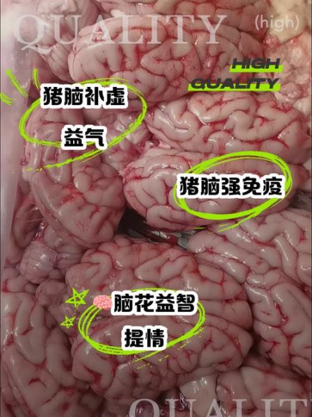 脑花营养价值高吗_脑花吃多了有什么危害-第2张图片-山城妙识 脑花营养价值高吗_脑花吃多了有什么危害-第2张图片-山城妙识