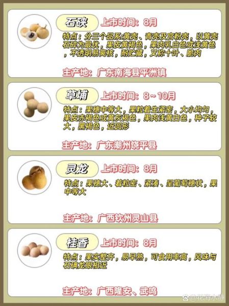 桂圆造句二年级_怎么用桂圆写句子-第1张图片-山城妙识 桂圆造句二年级_怎么用桂圆写句子-第1张图片-山城妙识