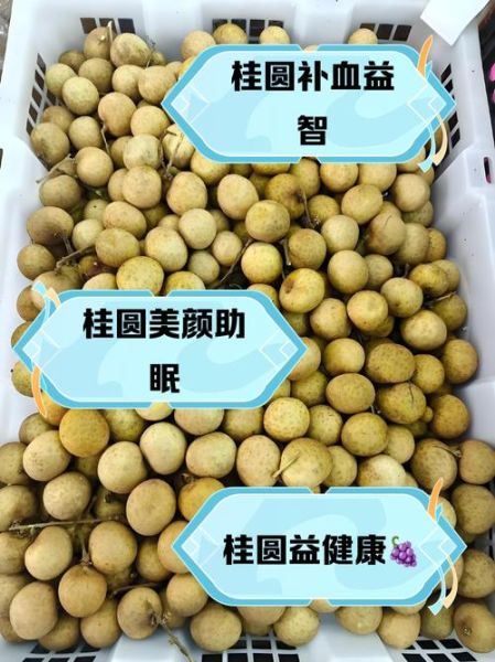 桂圆造句二年级_怎么用桂圆写句子-第3张图片-山城妙识 桂圆造句二年级_怎么用桂圆写句子-第3张图片-山城妙识