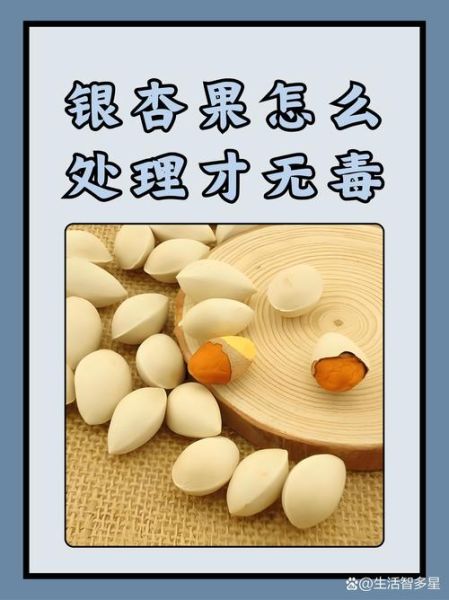 长期吃白果有何副作用_白果中毒症状多久出现-第1张图片-山城妙识 长期吃白果有何副作用_白果中毒症状多久出现-第1张图片-山城妙识