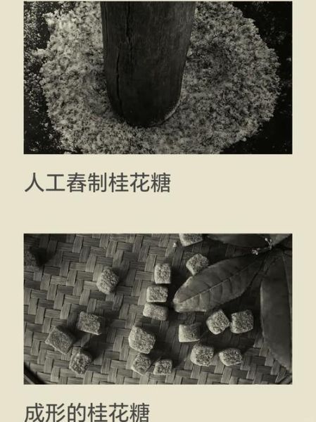 桂花糖怎么做_家常做法步骤详解-第2张图片-山城妙识