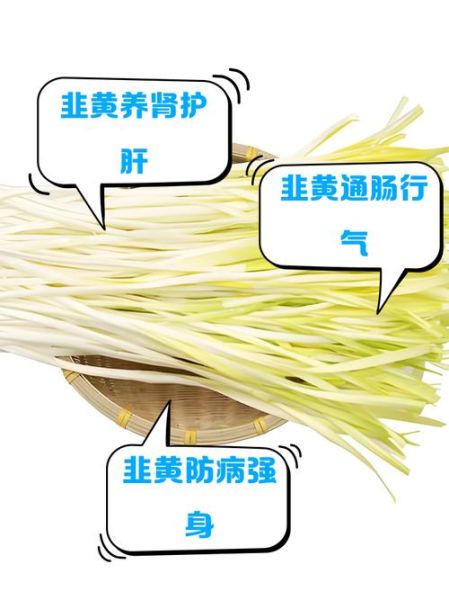 韭菜黄怎么炒好吃_韭菜黄营养价值有哪些-第2张图片-山城妙识