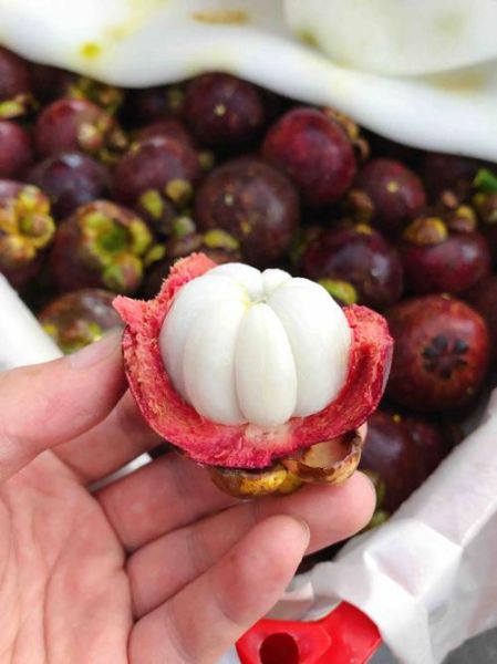 山竹一半白一半透明能吃吗_山竹果肉透明是坏了吗-第3张图片-山城妙识 山竹一半白一半透明能吃吗_山竹果肉透明是坏了吗-第3张图片-山城妙识