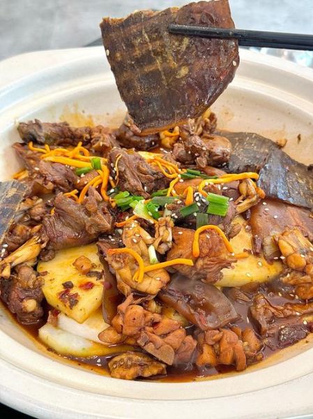 甲鱼红烧怎么做好吃_甲鱼红烧需要焯水吗-第1张图片-山城妙识