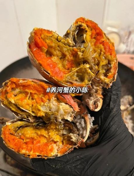 河蟹怎么养殖_河蟹养殖技术要点-第2张图片-山城妙识 河蟹怎么养殖_河蟹养殖技术要点-第2张图片-山城妙识