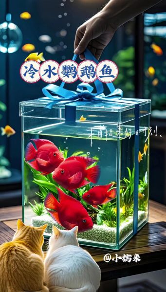 冷水鱼图片大全_冷水观赏鱼有哪些-第1张图片-山城妙识 冷水鱼图片大全_冷水观赏鱼有哪些-第1张图片-山城妙识