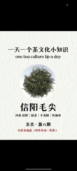 信阳毛尖属于什么茶_信阳毛尖的功效与作用-第1张图片-山城妙识 信阳毛尖属于什么茶_信阳毛尖的功效与作用-第1张图片-山城妙识