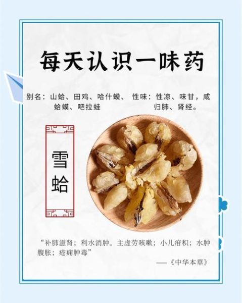 雪蛤的功效与作用禁忌_雪蛤适合什么人吃-第1张图片-山城妙识 雪蛤的功效与作用禁忌_雪蛤适合什么人吃-第1张图片-山城妙识