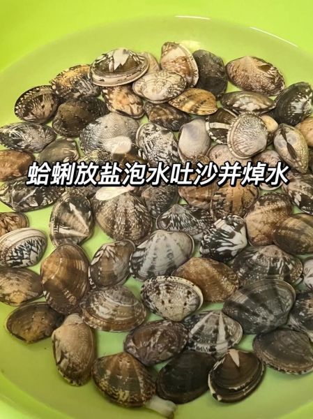 大蛤蜊厚肉怎么做好吃_大蛤蜊厚肉做法大全-第3张图片-山城妙识 大蛤蜊厚肉怎么做好吃_大蛤蜊厚肉做法大全-第3张图片-山城妙识