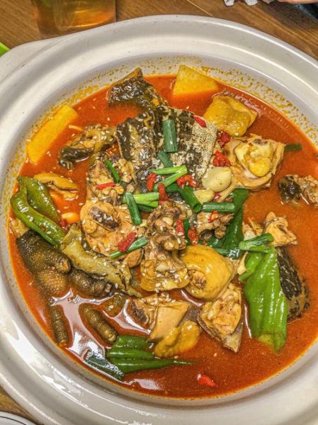 甲鱼怎么吃营养价值高_甲鱼汤怎么炖最补-第2张图片-山城妙识