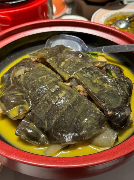 甲鱼怎么吃营养价值高_甲鱼汤怎么炖最补-第3张图片-山城妙识