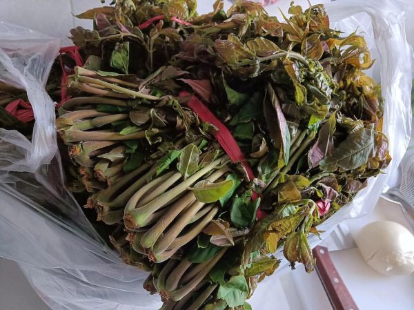 香椿芽怎么腌制_香椿芽腌制能放多久-第1张图片-山城妙识 香椿芽怎么腌制_香椿芽腌制能放多久-第1张图片-山城妙识