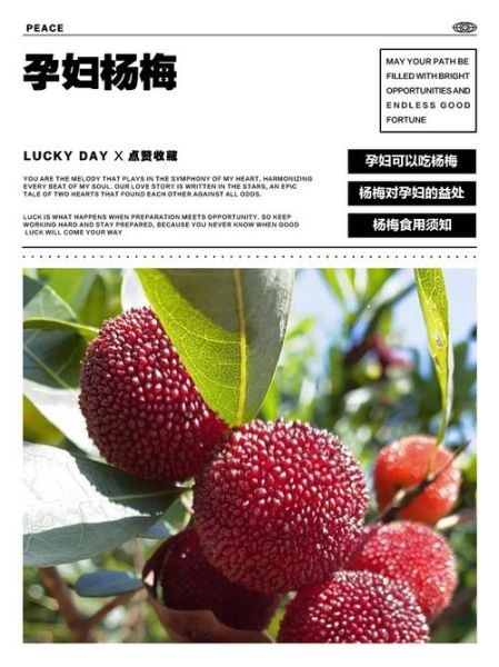 孕妇能吃杨梅吗_孕妇吃杨梅的好处与禁忌-第3张图片-山城妙识 孕妇能吃杨梅吗_孕妇吃杨梅的好处与禁忌-第3张图片-山城妙识
