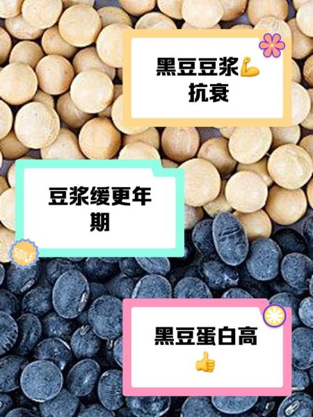 大豆是什么豆_大豆和黄豆的区别-第1张图片-山城妙识 大豆是什么豆_大豆和黄豆的区别-第1张图片-山城妙识