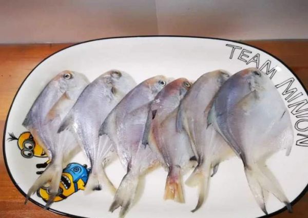 平鱼价格多少钱一斤_平鱼最新行情-第1张图片-山城妙识 平鱼价格多少钱一斤_平鱼最新行情-第1张图片-山城妙识