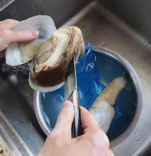 象拔蚌一只一般多少重_怎么挑选重量合适的象拔蚌-第2张图片-山城妙识 象拔蚌一只一般多少重_怎么挑选重量合适的象拔蚌-第2张图片-山城妙识