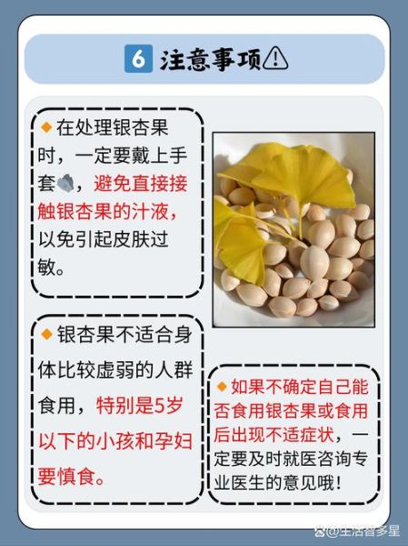 白果中毒怎么办_白果中毒如何解除-第1张图片-山城妙识 白果中毒怎么办_白果中毒如何解除-第1张图片-山城妙识