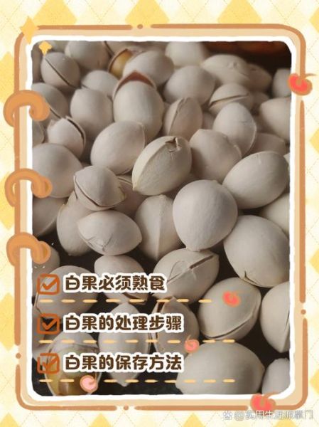 白果中毒怎么办_白果中毒如何解除-第3张图片-山城妙识 白果中毒怎么办_白果中毒如何解除-第3张图片-山城妙识