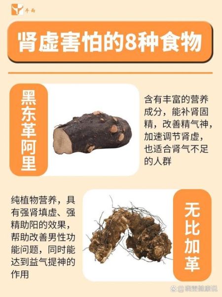 肾阴虚吃什么食物_肾阴虚吃什么可以补起来-第3张图片-山城妙识 肾阴虚吃什么食物_肾阴虚吃什么可以补起来-第3张图片-山城妙识