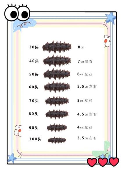 烟台最大海参批发市场在哪_怎么选干海参-第1张图片-山城妙识 烟台最大海参批发市场在哪_怎么选干海参-第1张图片-山城妙识
