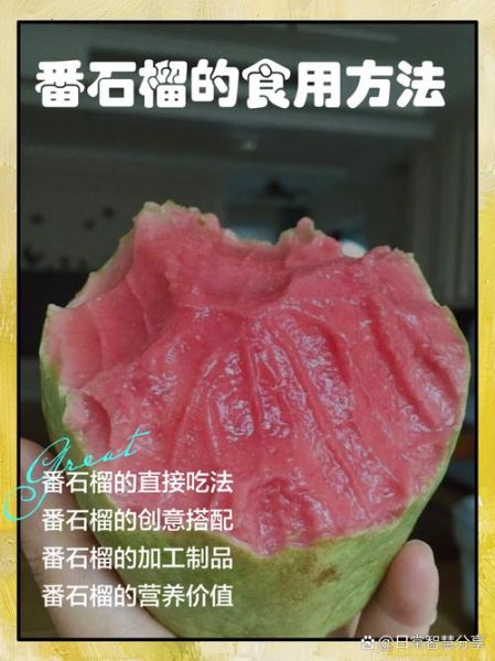 一天吃几个番石榴减肥最好_番石榴减肥正确吃法-第1张图片-山城妙识 一天吃几个番石榴减肥最好_番石榴减肥正确吃法-第1张图片-山城妙识