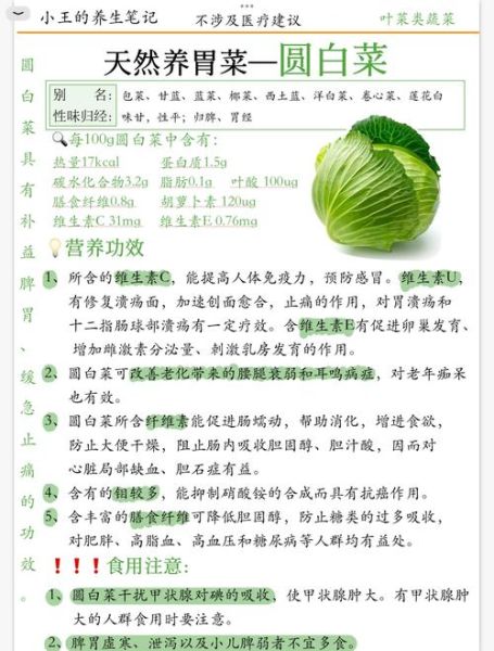 圆白菜的营养价值_圆白菜怎么吃最健康-第1张图片-山城妙识 圆白菜的营养价值_圆白菜怎么吃最健康-第1张图片-山城妙识