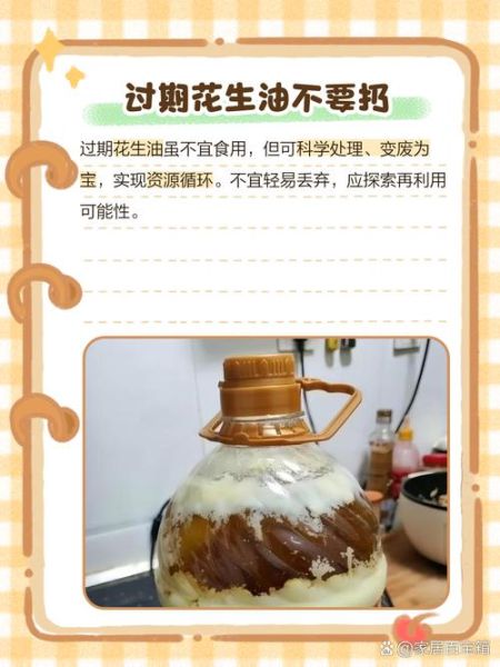 花生油过期了还能吃吗_花生油过期多久不能吃-第3张图片-山城妙识 花生油过期了还能吃吗_花生油过期多久不能吃-第3张图片-山城妙识