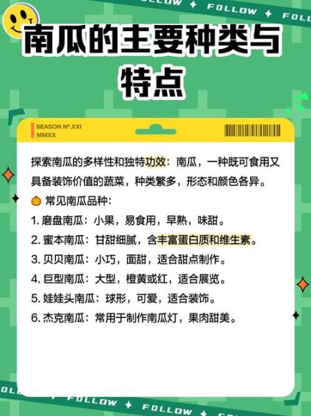 南瓜英语发音怎么读_南瓜英语发音和pumpkin区别-第1张图片-山城妙识 南瓜英语发音怎么读_南瓜英语发音和pumpkin区别-第1张图片-山城妙识