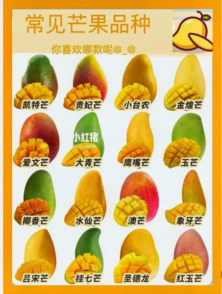 芒果图片大全_芒果品种怎么区分-第2张图片-山城妙识 芒果图片大全_芒果品种怎么区分-第2张图片-山城妙识