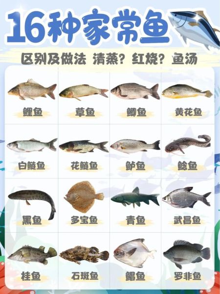 菜市场常见鱼类有哪些_如何挑选新鲜鱼-第1张图片-山城妙识 菜市场常见鱼类有哪些_如何挑选新鲜鱼-第1张图片-山城妙识