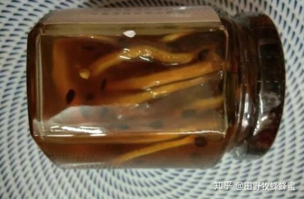 蜂蜜柠檬变质了还能喝吗_蜂蜜柠檬发霉图片识别-第1张图片-山城妙识 蜂蜜柠檬变质了还能喝吗_蜂蜜柠檬发霉图片识别-第1张图片-山城妙识