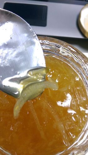 蜂蜜柠檬变质了还能喝吗_蜂蜜柠檬发霉图片识别-第2张图片-山城妙识 蜂蜜柠檬变质了还能喝吗_蜂蜜柠檬发霉图片识别-第2张图片-山城妙识