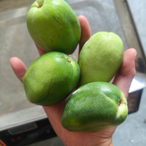 木瓜生吃怎么吃_木瓜生吃要不要去籽-第3张图片-山城妙识 木瓜生吃怎么吃_木瓜生吃要不要去籽-第3张图片-山城妙识