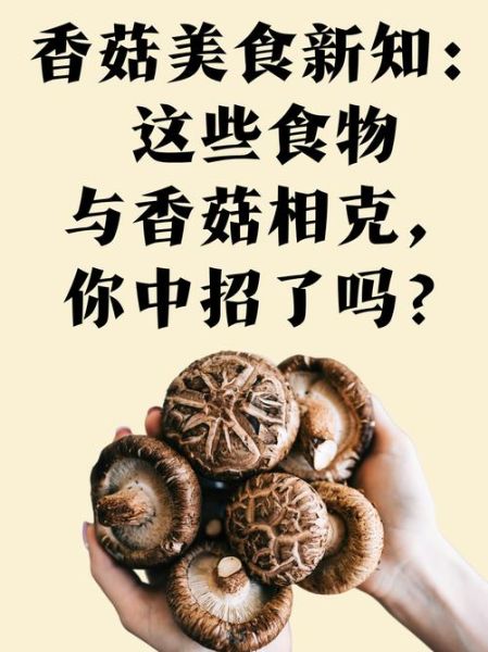 香菇的功效与作用有哪些_香菇的营养价值高吗-第2张图片-山城妙识 香菇的功效与作用有哪些_香菇的营养价值高吗-第2张图片-山城妙识