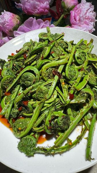 野菜图片大全大图_哪些野菜可以安全食用-第1张图片-山城妙识 野菜图片大全大图_哪些野菜可以安全食用-第1张图片-山城妙识