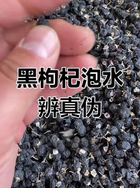 假黑枸杞泡水颜色对比_真黑枸杞泡水颜色差异-第1张图片-山城妙识