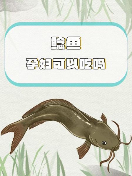 吃鲶鱼对身体有害吗_鲶鱼重金属超标是真的吗-第1张图片-山城妙识 吃鲶鱼对身体有害吗_鲶鱼重金属超标是真的吗-第1张图片-山城妙识
